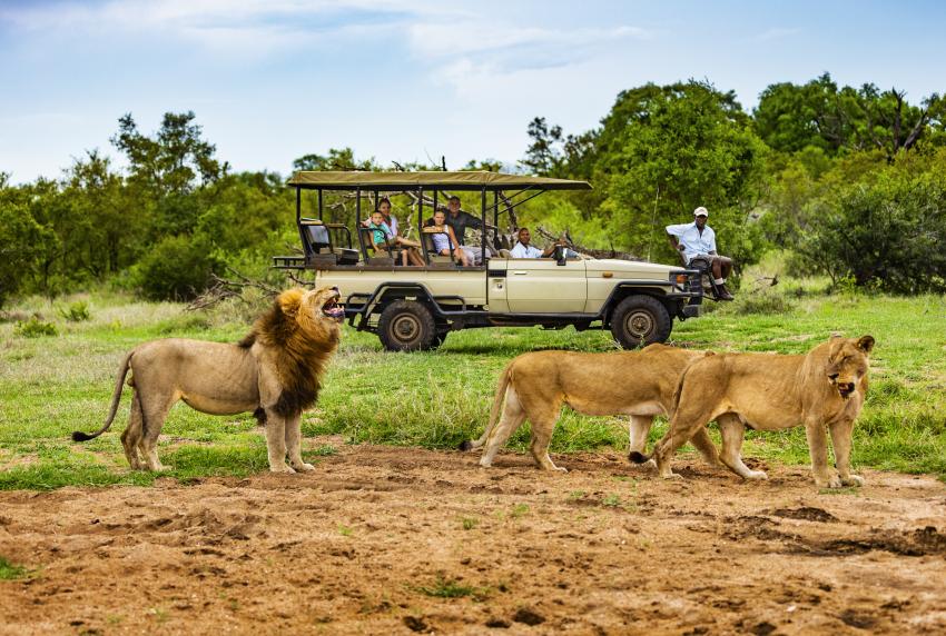 Big Five 2025 – 42K e 21K - Kamel Turismo